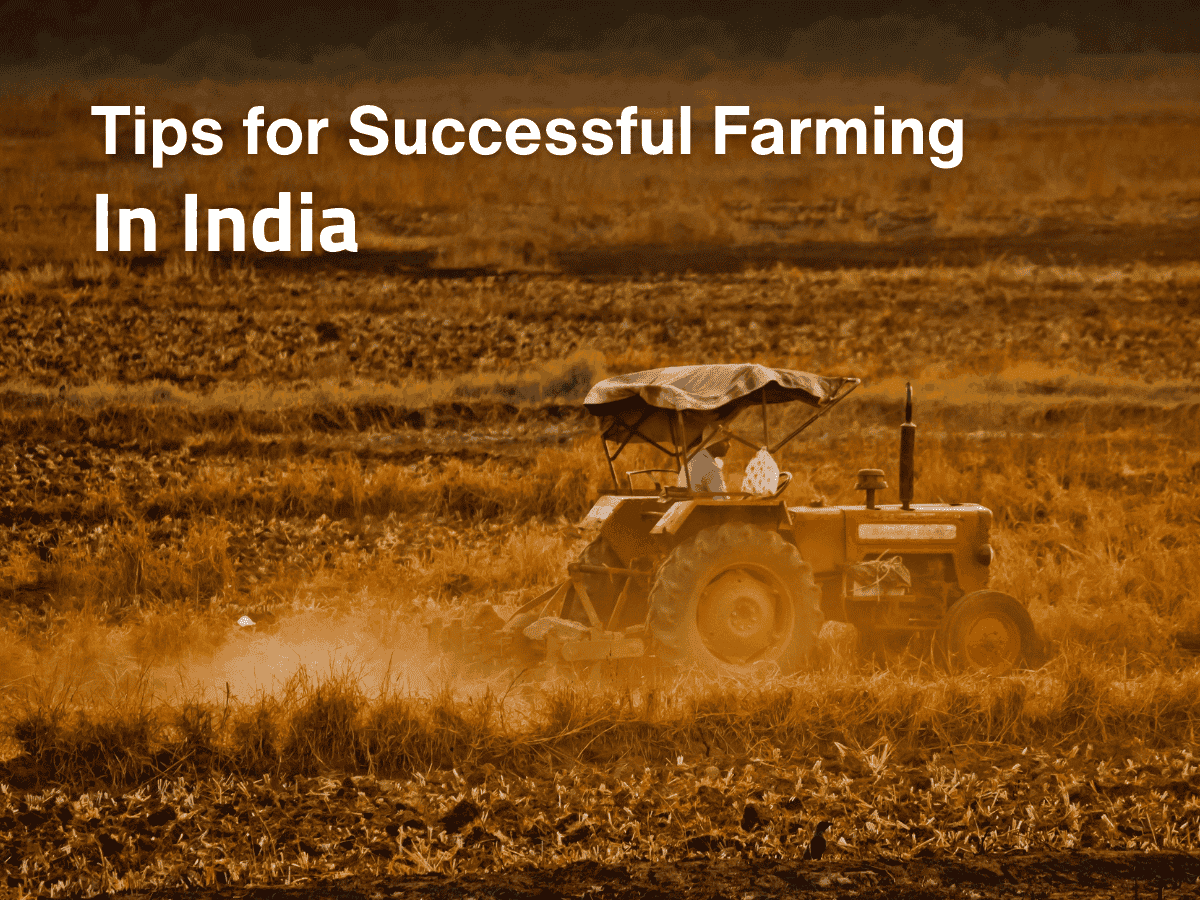 Essential Tips for Successful Farming in India