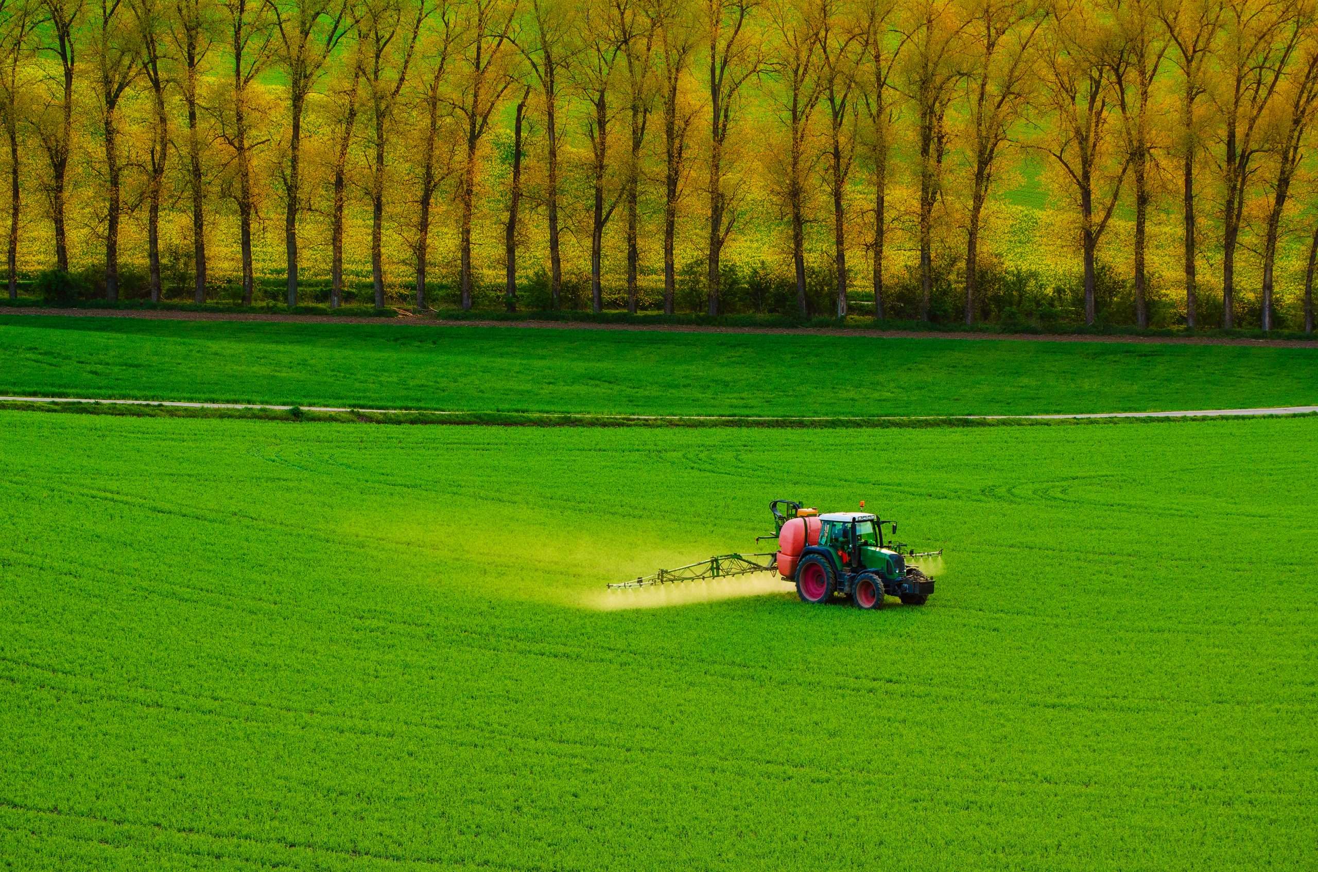 10 Ways to Implement Sustainable Agriculture