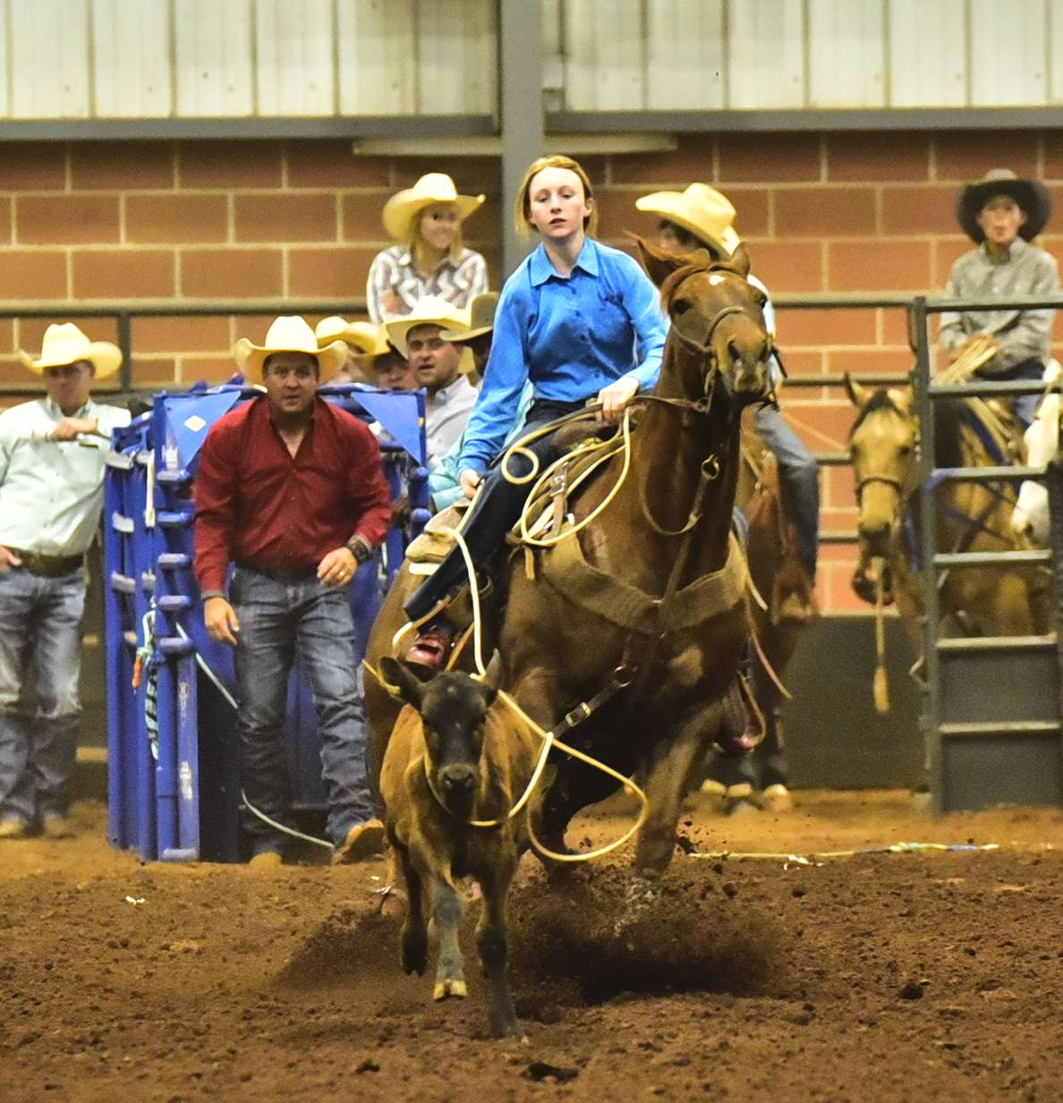 Blog | CEAT Specialty Tires: Agri and Industrial Specialty Tire ...